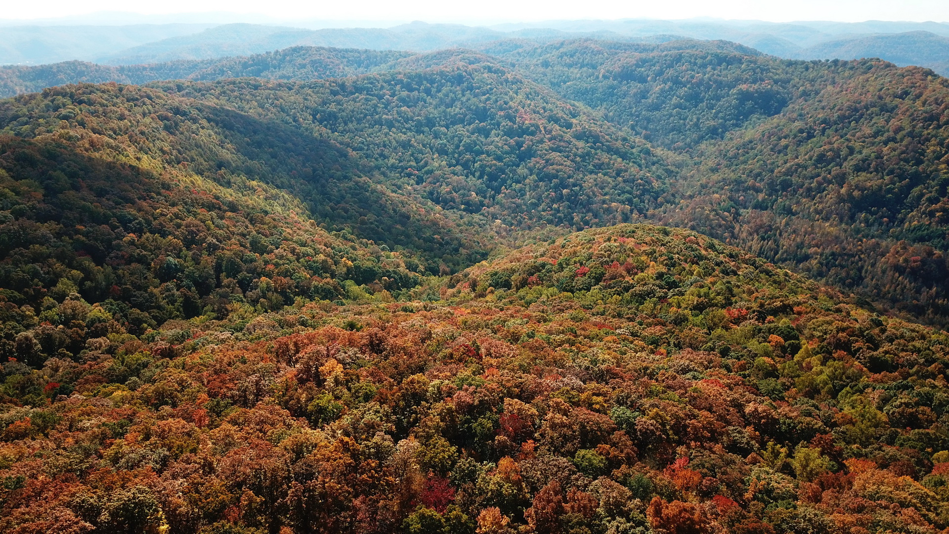 JMRA – Vision for a Jellico Mountains Recreation Area